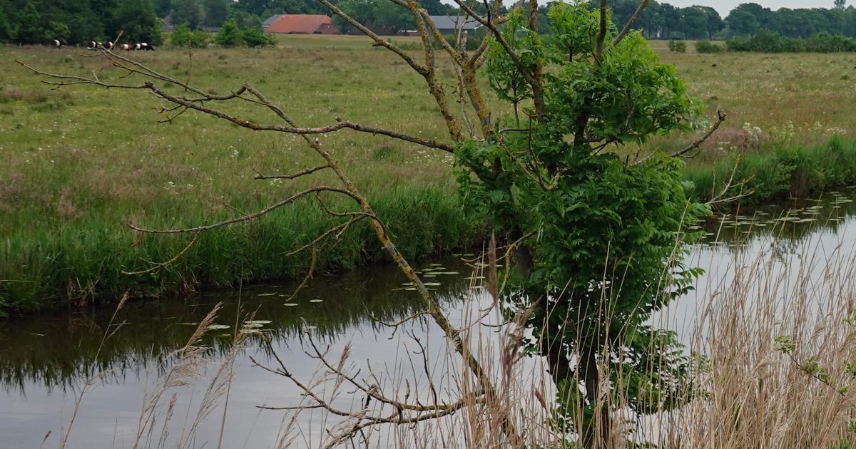 The wicked problem the Water Framework Directive cannot solve | PBL ...